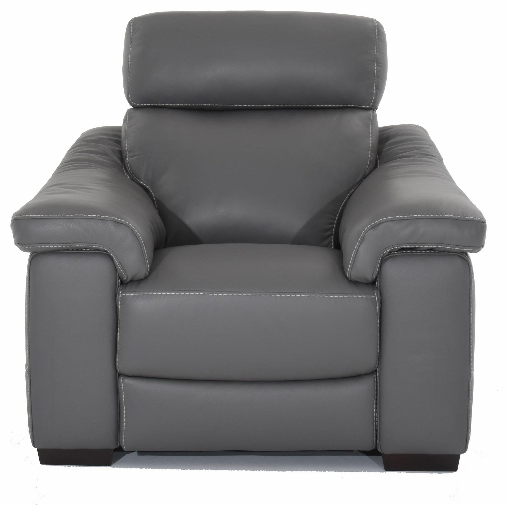 Natuzzi Editions Giulivo 111199279 Power Reclining Chair | Baer's ...